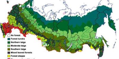 Russian taiga map - Taiga Russia map (Eastern Europe - Europe)